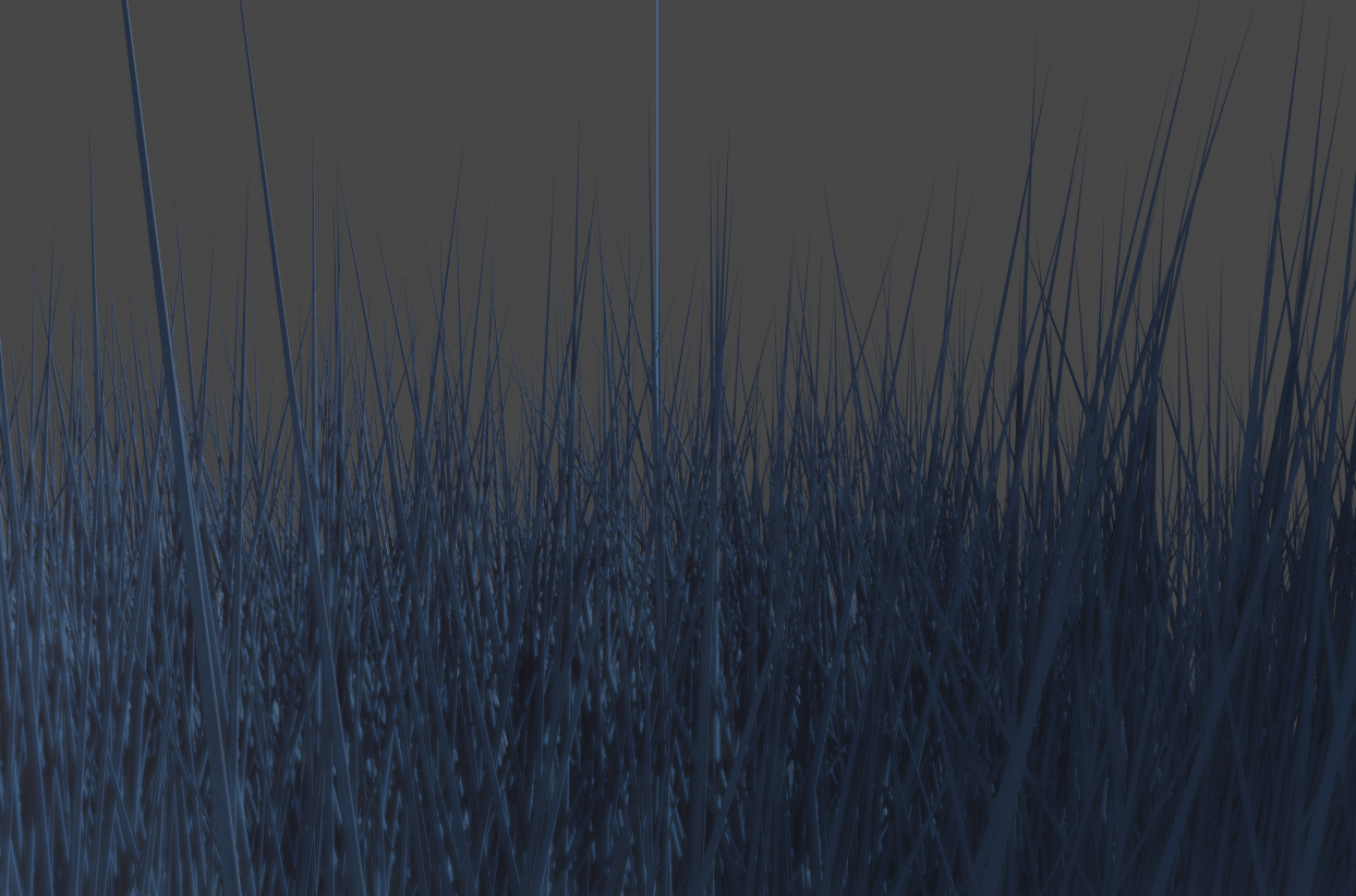 Portfolio - Shane Davis